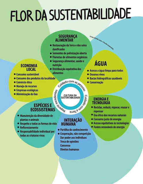 Professor Brasil Como A Flor Da Sustentabilidade Pode Beneficiar O