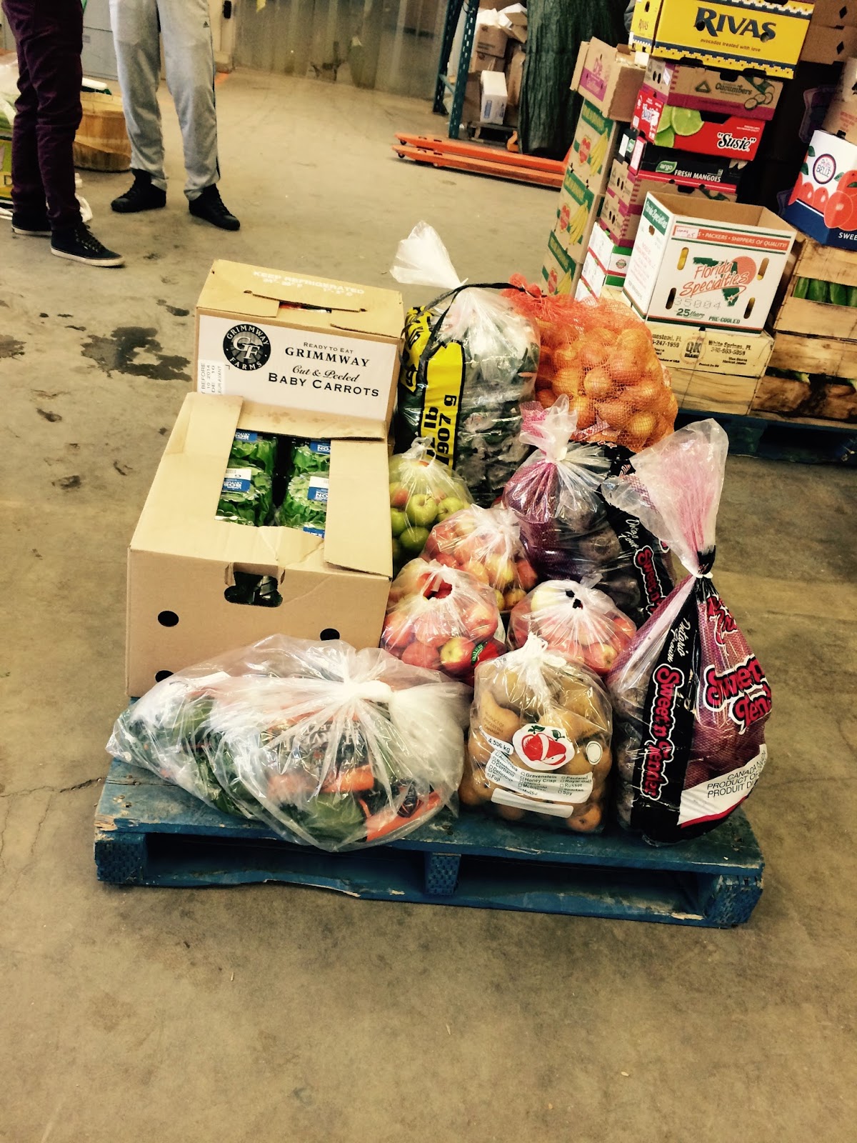 Volunteering vs Satisfaction: Helping Foodshare Toronto