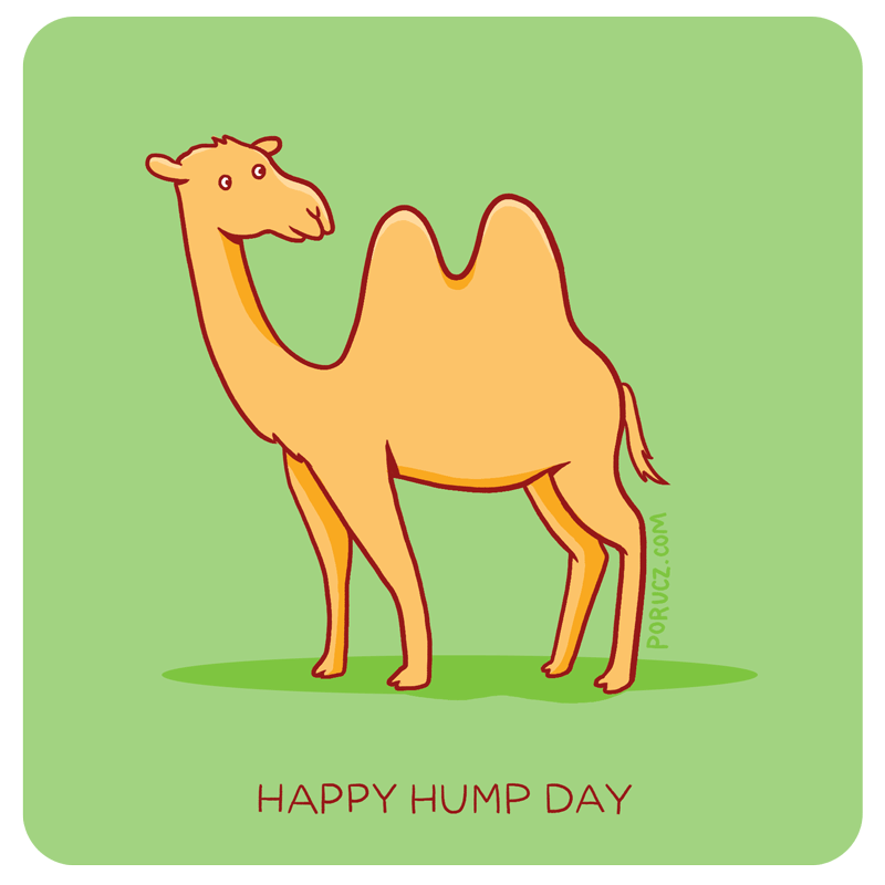 George's Journal: Hump Day