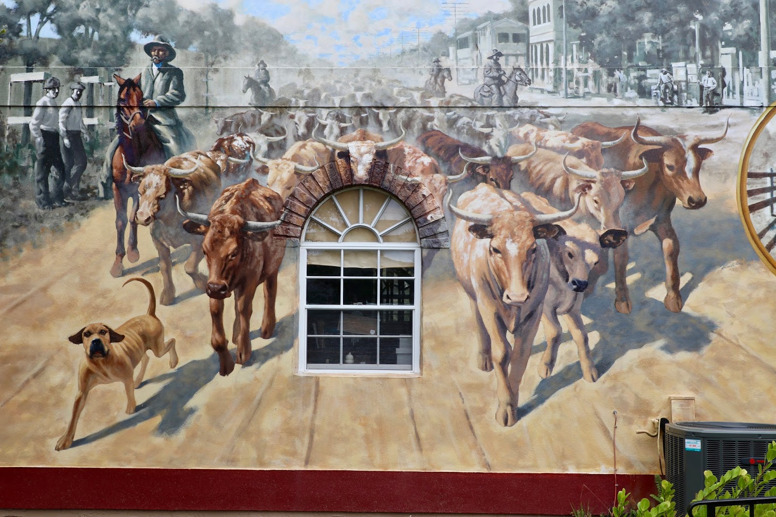 Southwest Daily Images: Cattle Drive