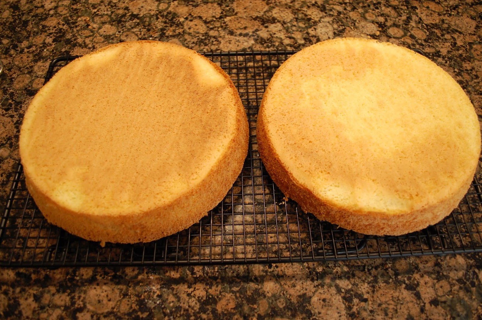 A Peek into the Pantry: Josefina's Apricot Sponge Cake