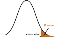 Statistical Concepts and Analytics Explained