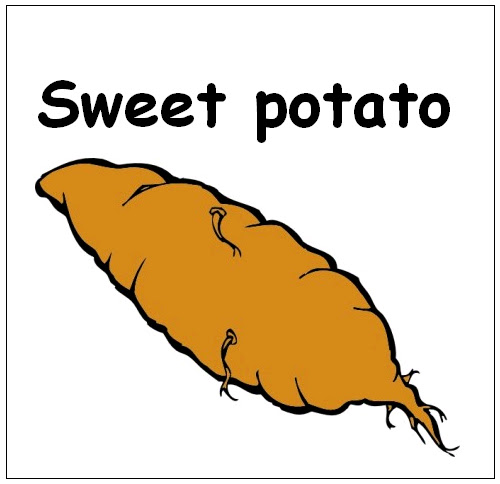 Teaching Esl materials and more: Vegetable flash cards