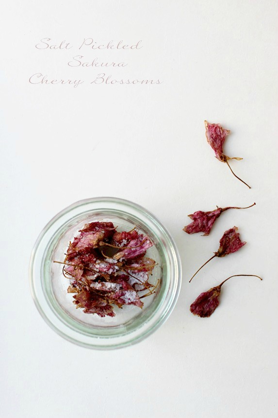 Изсушени цветове от Сакура / Salt pickled Sakura cherry blossom | my ...