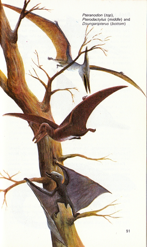 Love in the Time of Chasmosaurs: Vintage Dinosaur Art: Prehistoric ...