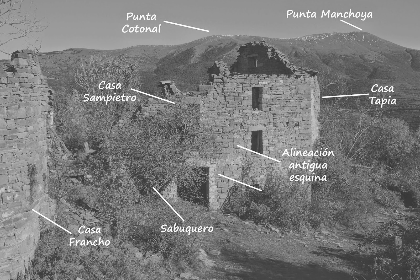 Esmemoriáus...: Basarán