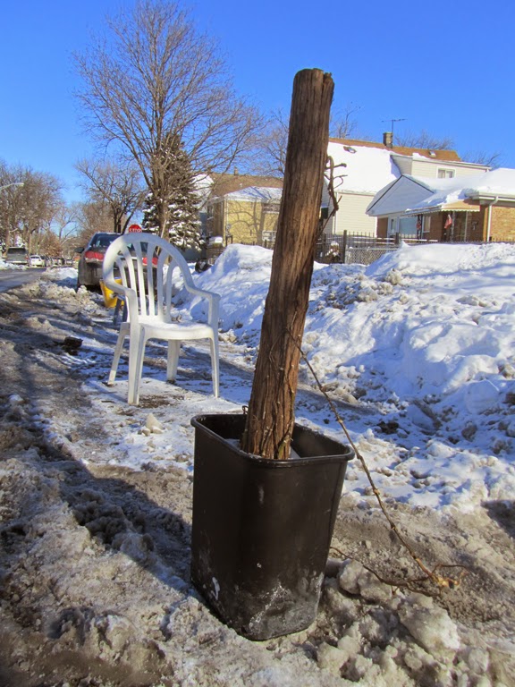 Chicago Snow Parking