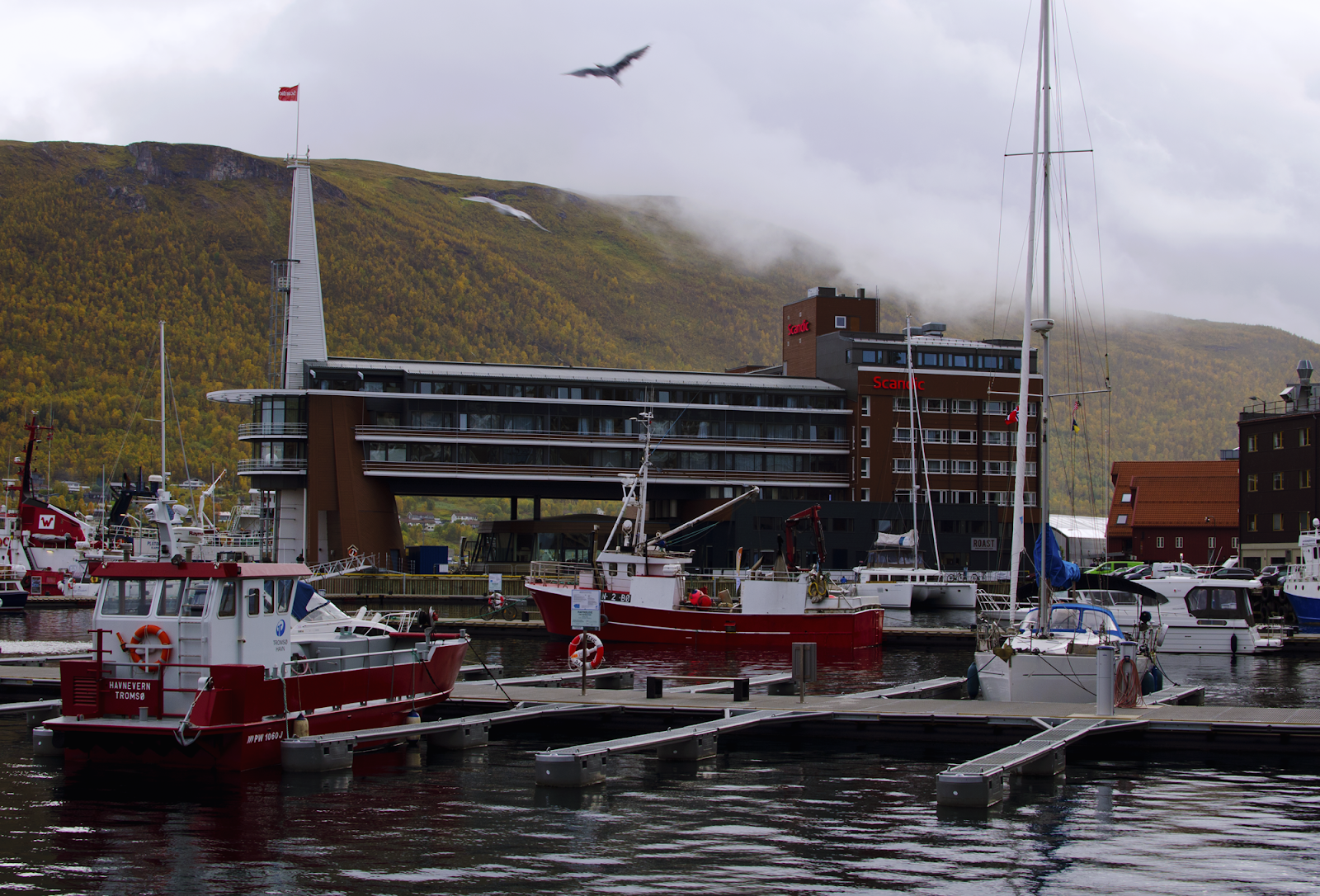 rohelisemrohi: Tanel Saimre "Minu Norra" – mõnus kuuma ilma lugemine