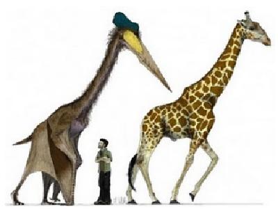 fenomena: Quetzalcoatlus