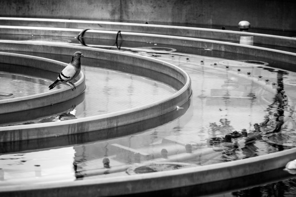 Las líneas en composición fotográfica - Fotolarios