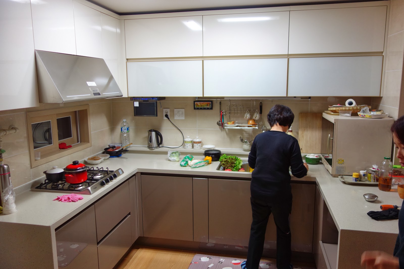 G'Day Korea: Modern Korean Apartment