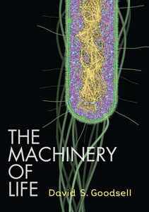 Of Bacteria and Men: The science and art of David Goodsell