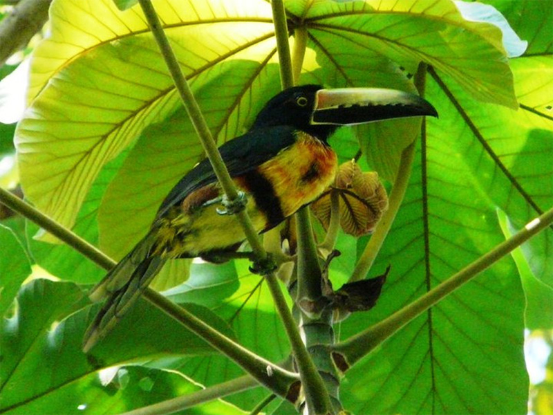 Top 7 Places To Visit In Honduras | The Best Places In The World