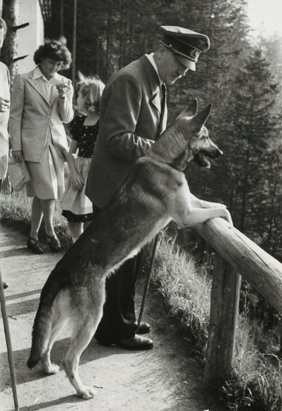 20 Vintage Photographs of Adolf Hitler and His Beloved Dog Blondi ...