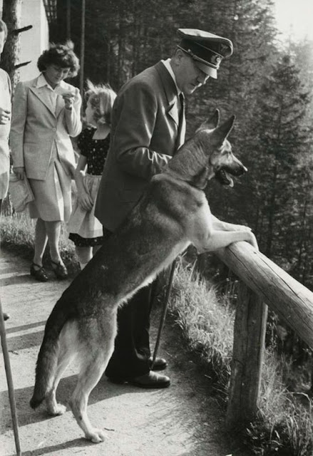 20 Vintage Photographs of Adolf Hitler and His Beloved Dog Blondi ...
