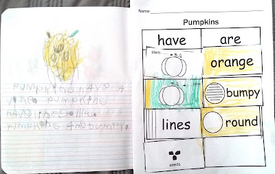 Kindergarten Week 14 and 15