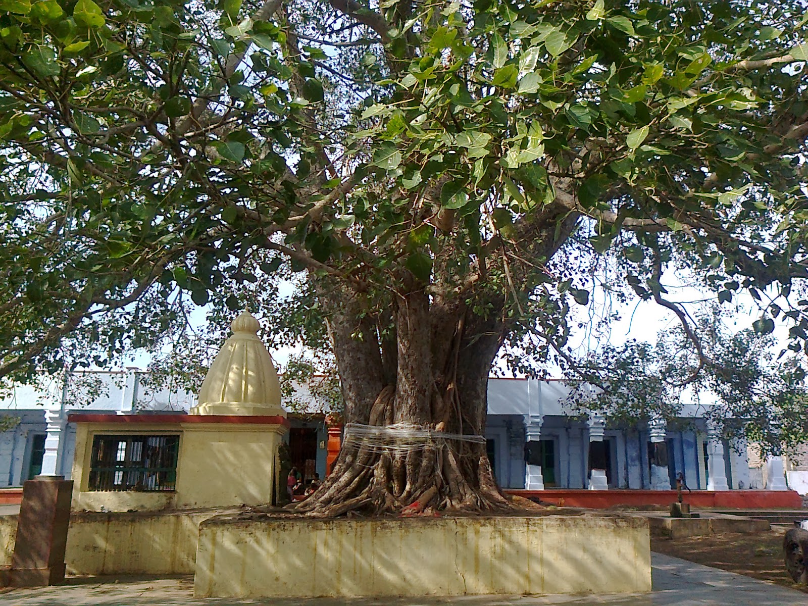 History of Ancient India: Machilipatnam