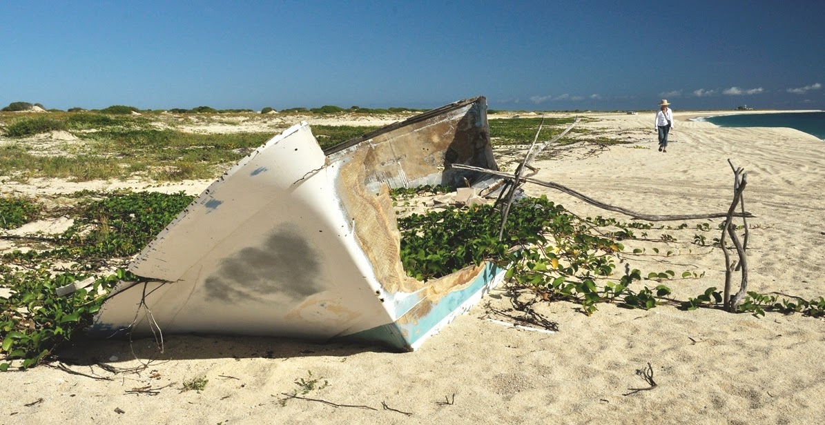Excursionistas2: Beachcombing