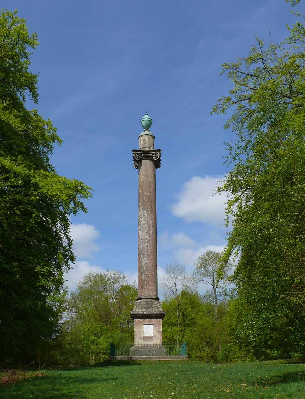 Savernake Forest photo | Okay Wallpaper