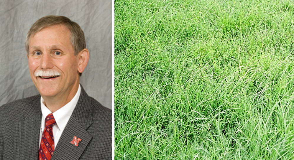 Arthro-Pod: Arthro-Pod Episode 6: The ESA Files!