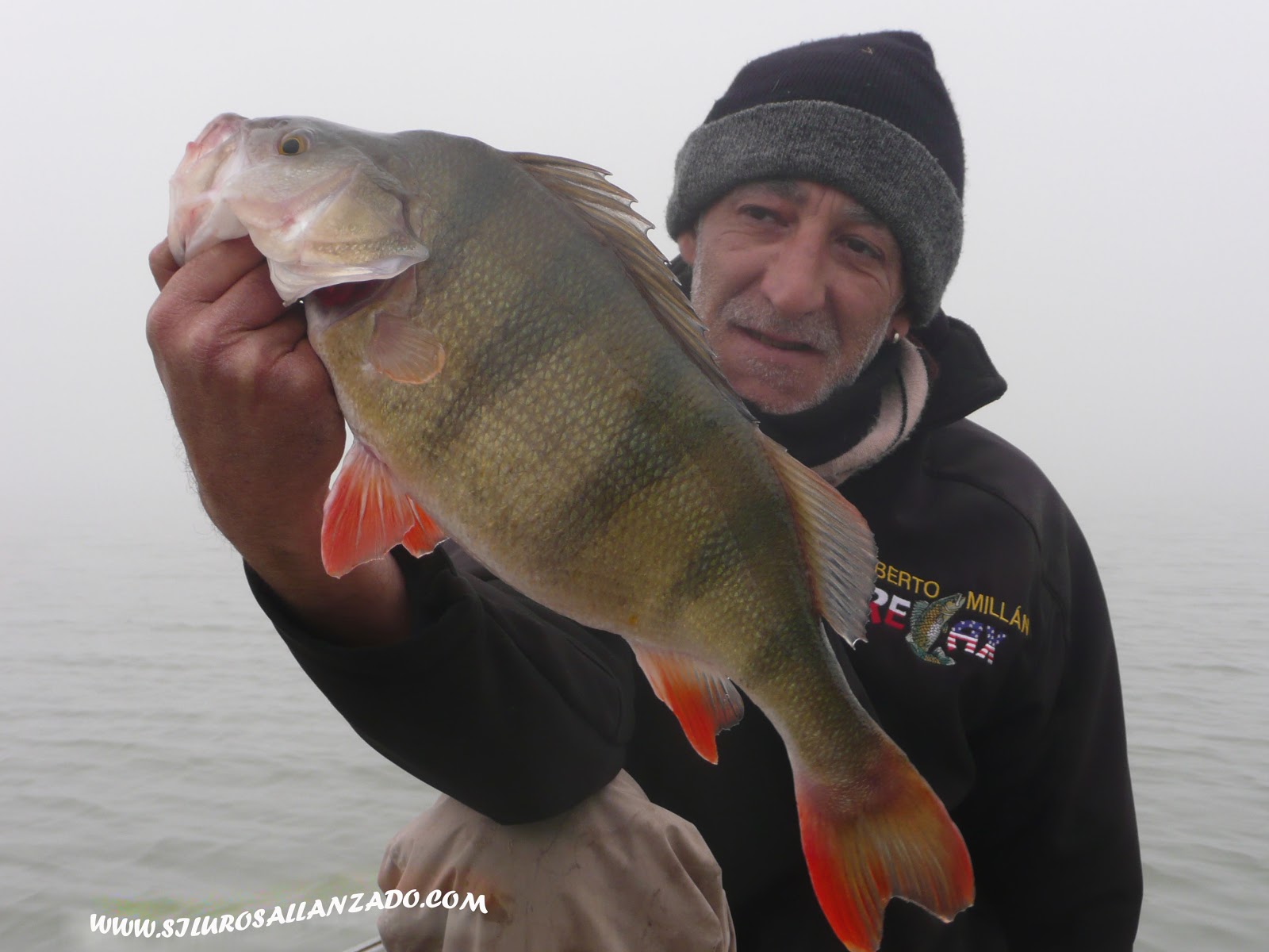 PESCA CON GUÍA DEL SILURO AL LANZADO Y PELLETS EN MEQUINENZA Y RÍO EBRO ...