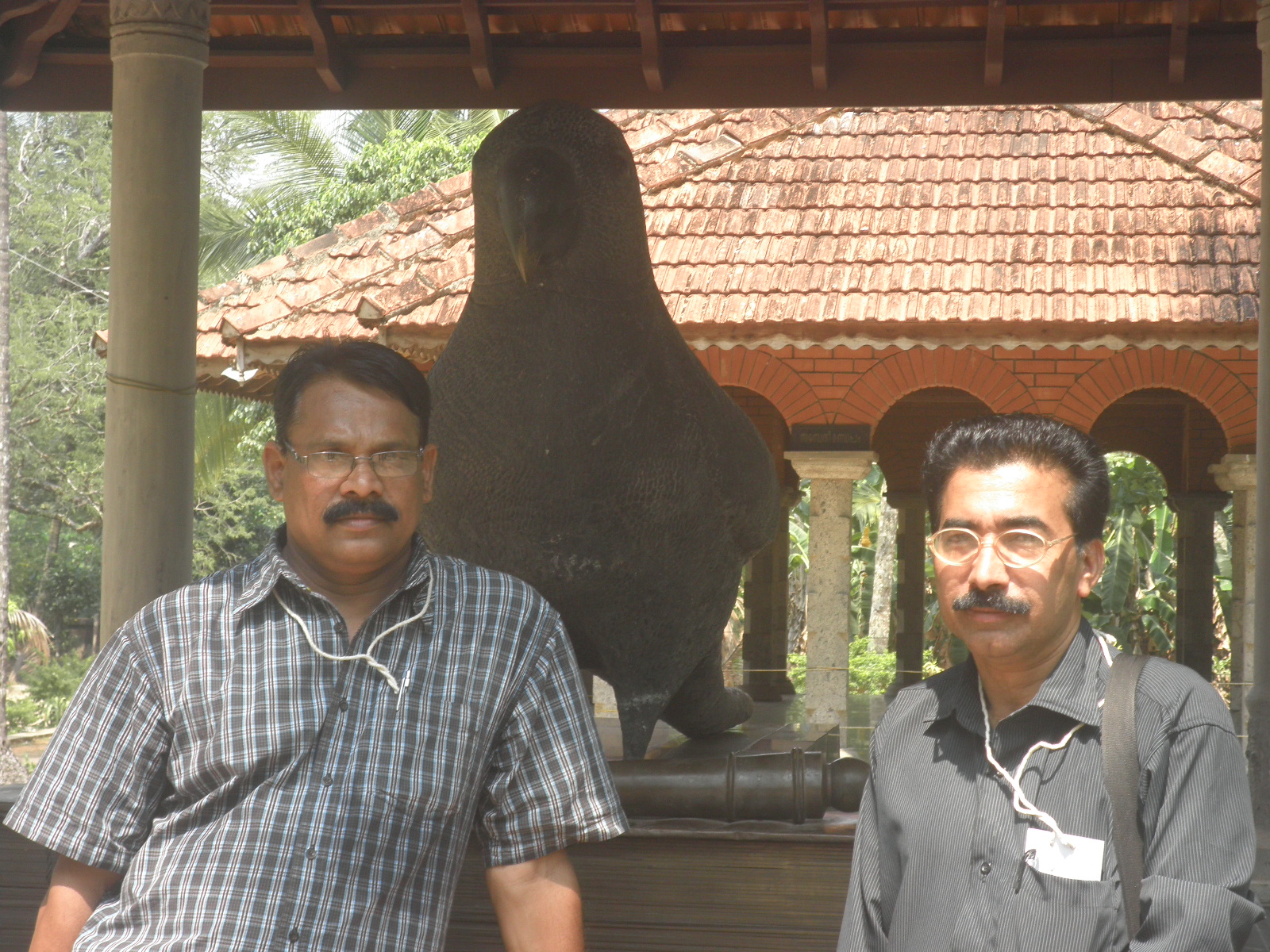 WAHAB'S VIEW: PARROT IN THUNJAN PARAMBU WISHES MALAYALAM BLOG WRITERS