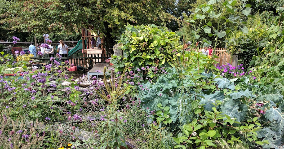 JibberJabberUK: Deen City Farm