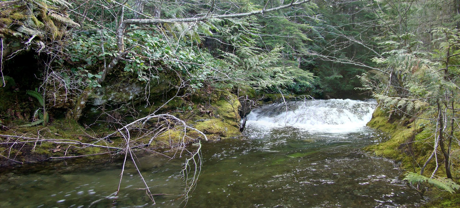 The REAL Motorcycle Diaries: Powerline Route to Rhododendron Lake