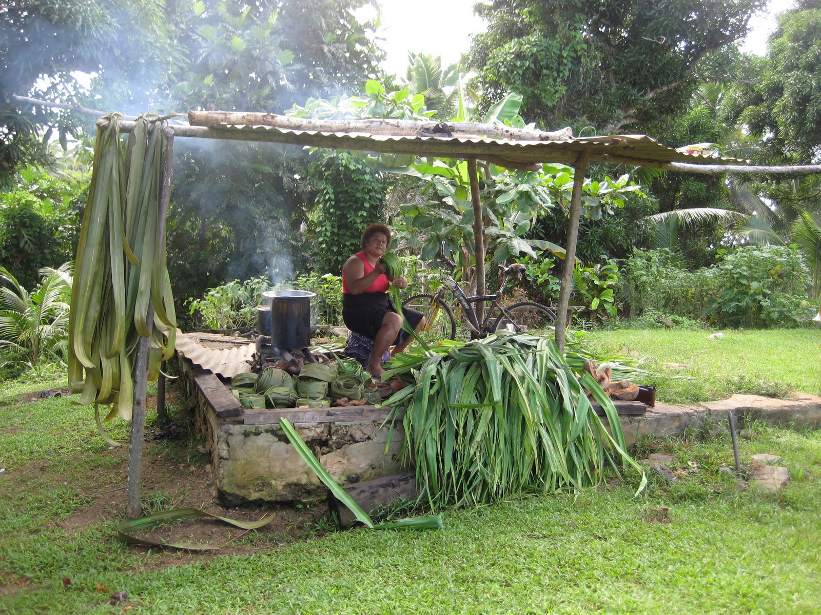 Melissa is in Fiji!: One Last Look at A Day in My Fijian Life...