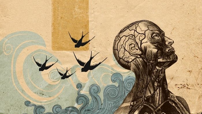 Existencia vs Esencia | La Flecha de Apolo