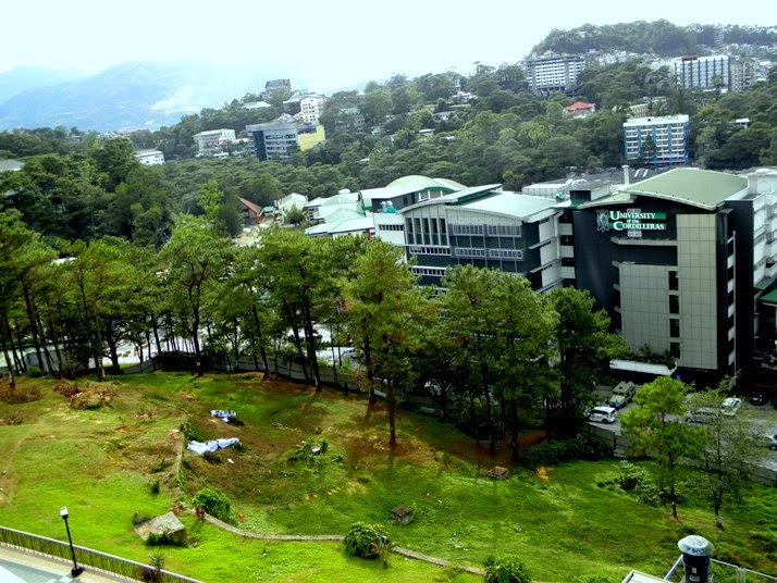 SM Baguio Under Fire For Cutting 60 Trees In The Dead Of The Night To ...