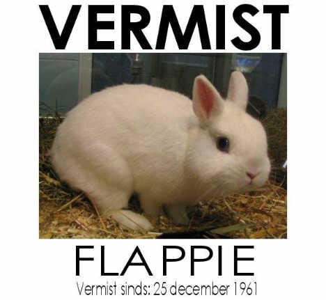 Anneliefs: Ik dacht aan Flappie