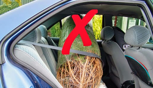 Haynes Manuals Blog: How to transport a Christmas tree safely