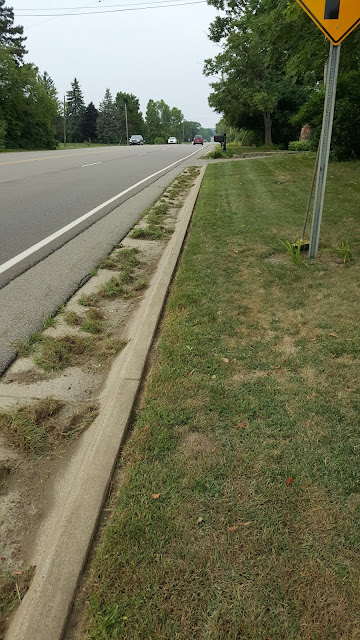 Gear Acres at Top of the Hill: Curb Appeal and Curbside Treasures