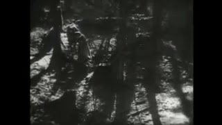 German Expressionism: Unique Characteristics of German Expressionism