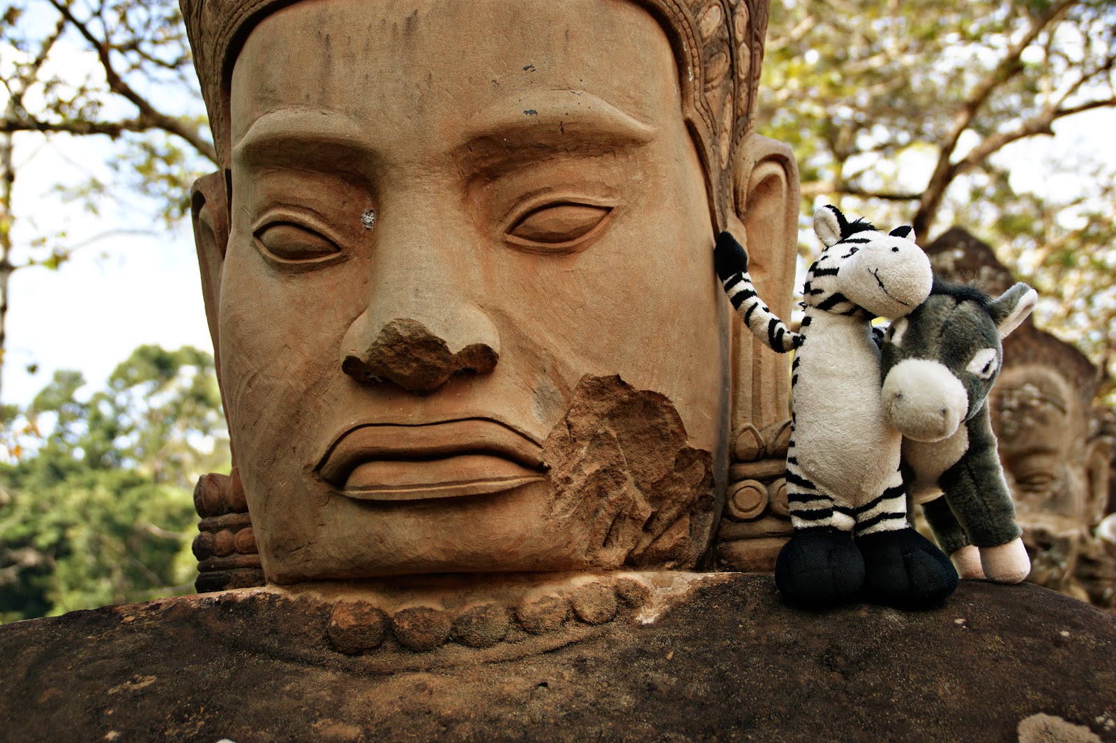 Zebresel.: Zebresel.