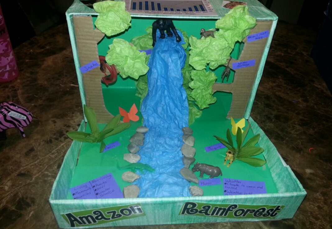 Estos 3 solo los hace MP: Ecosystems in a box