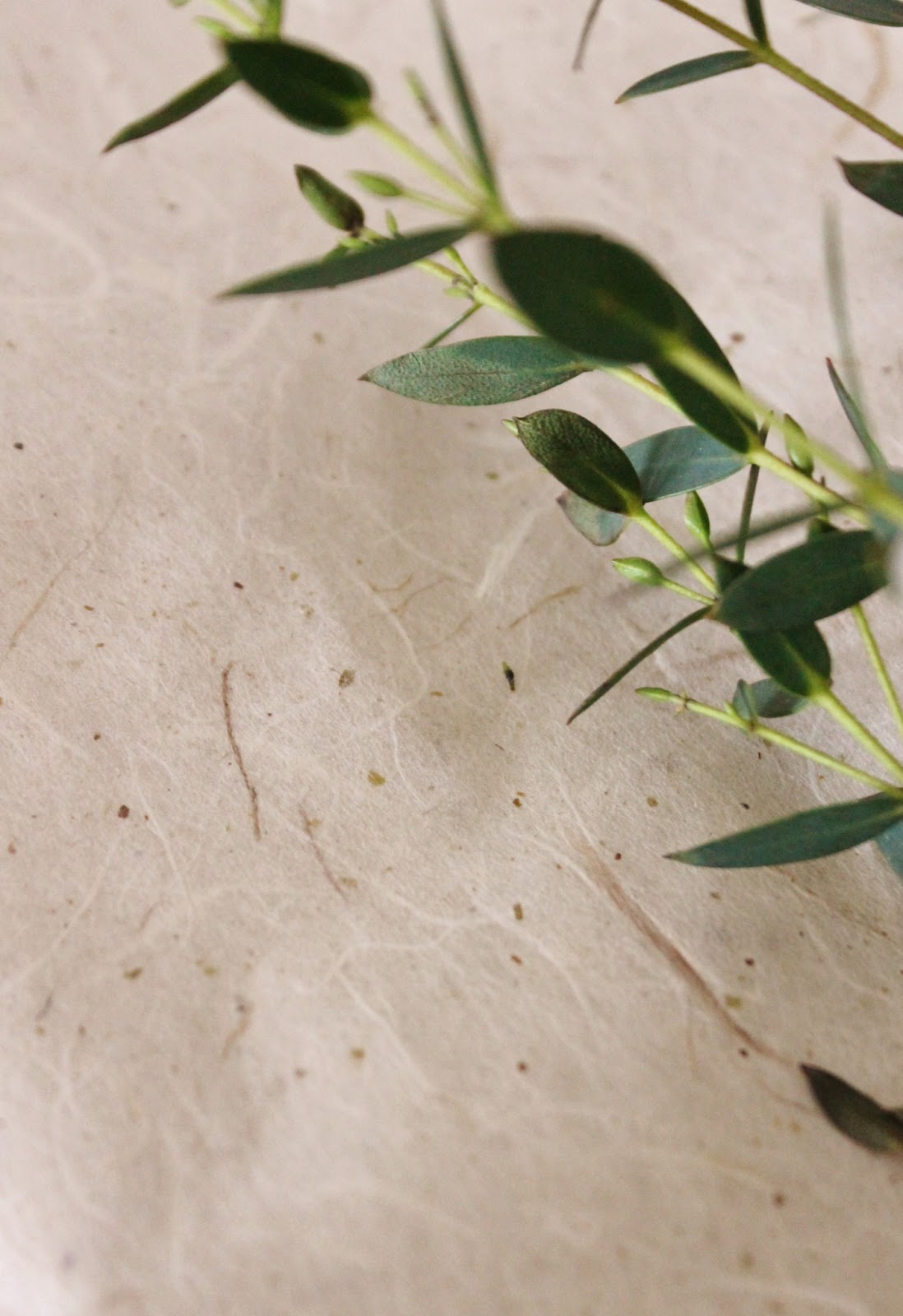 idémakeriet: Flera ägg och fint papper