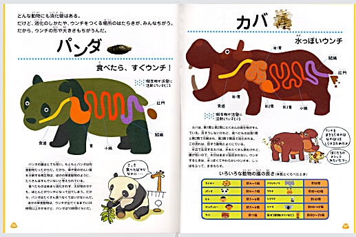 Osaka Joe: Japanese Toilets