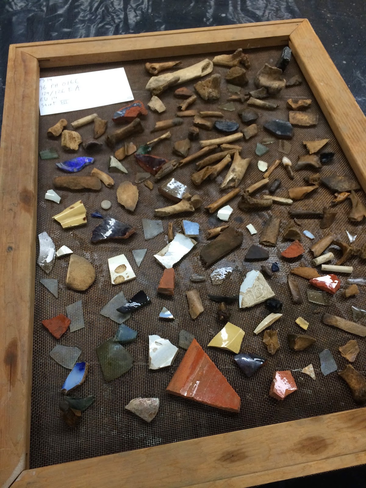 Archaeology on the Alley: Summer Artifact Processing