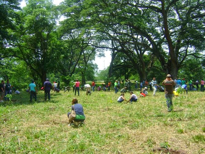 Lenin Cardozo - Entrevistas / Artículos / Videos: Comenzamos ...