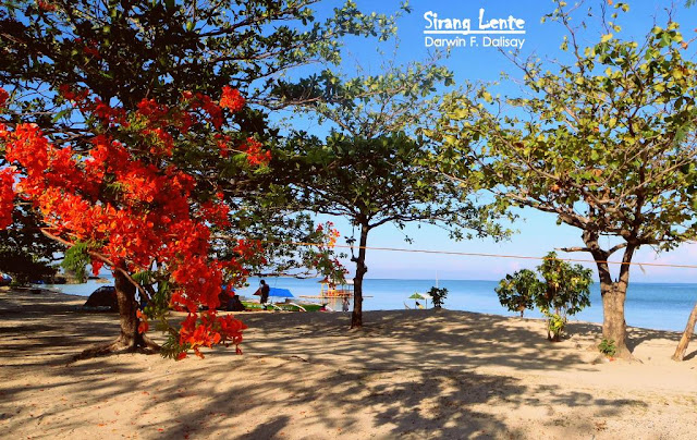 SIRANG LENTE: Burot Beach: Travel Guide, Itinerary, Things you need to Know
