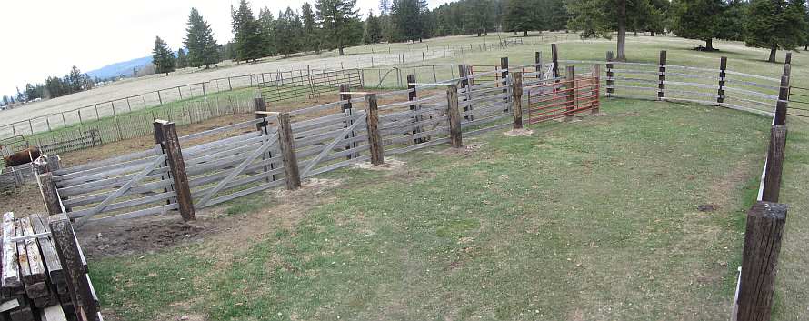 Life among the Tall Pines: Loading corral fence done