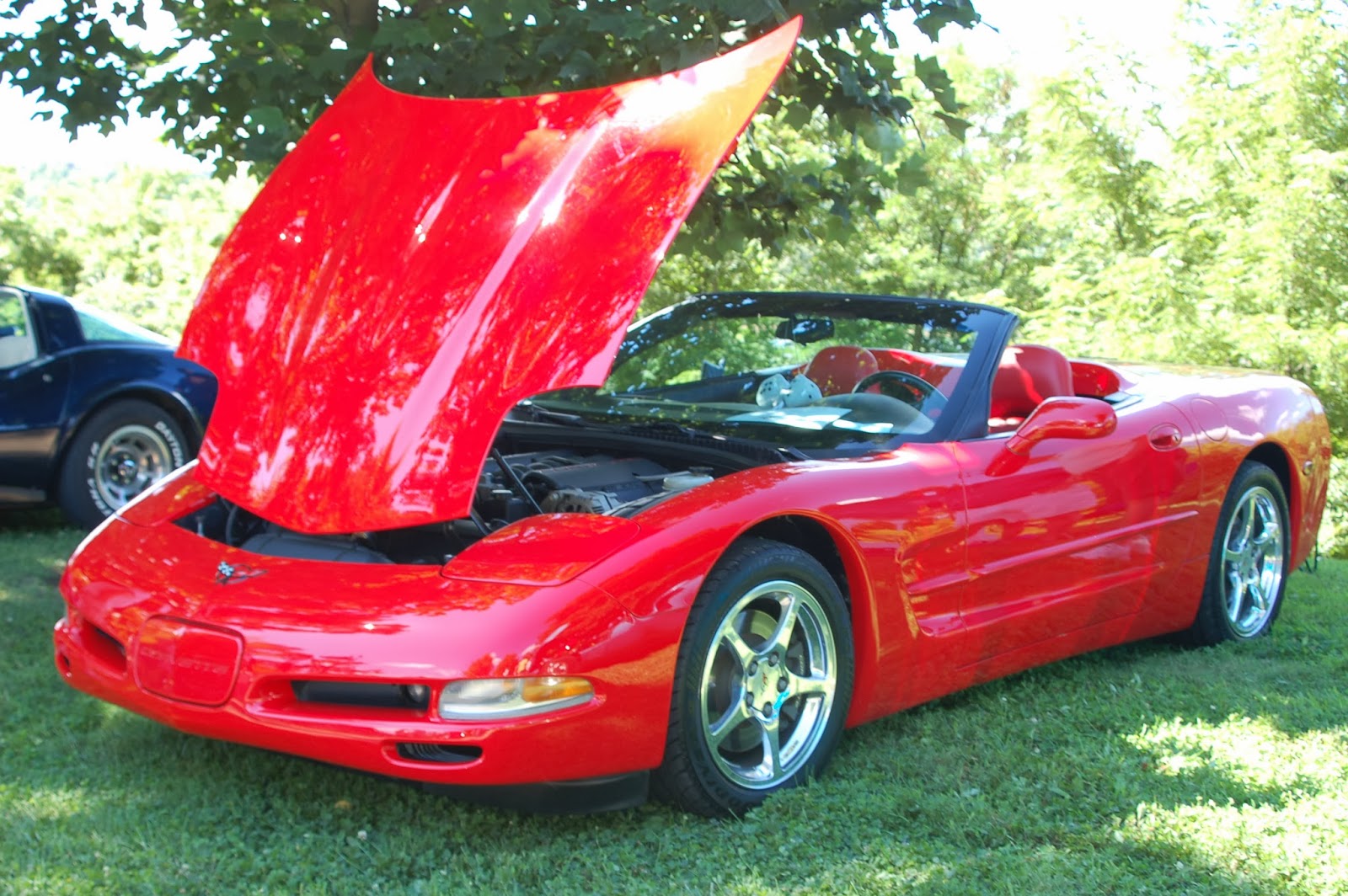 Turnerbudds Car Blog: More Vettes At Rollin' On the River