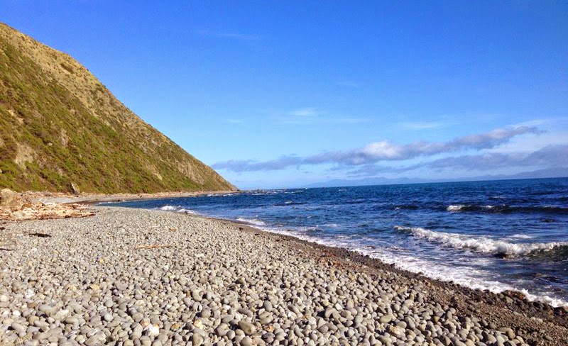 Wellington Daily Photo: #2578 ... Makara Beach