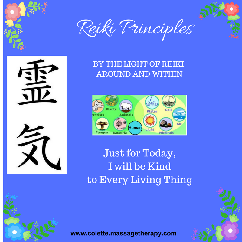 Colette- Eclectic Healing Guide: The end of Reiki Principles Explored