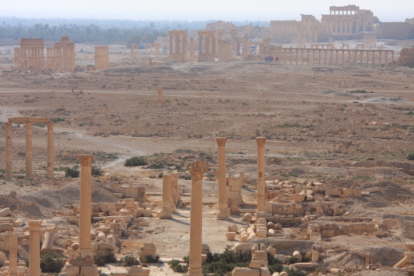 Visitar PALMIRA, uma maravilha do mundo | Síria