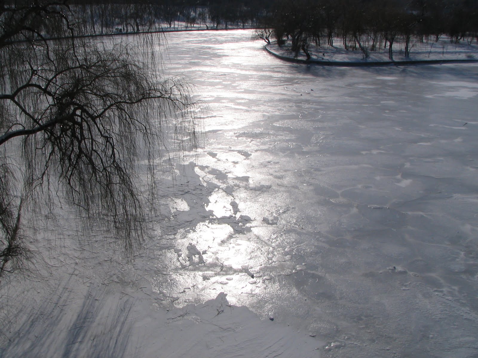 LA MULTI ANI, ROMANIA!: Era glaciara - lacul inghetat (3)