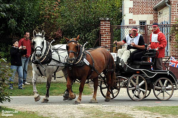 Percheron International: Route Du Poisson > Avec L'Équipe Anglaise