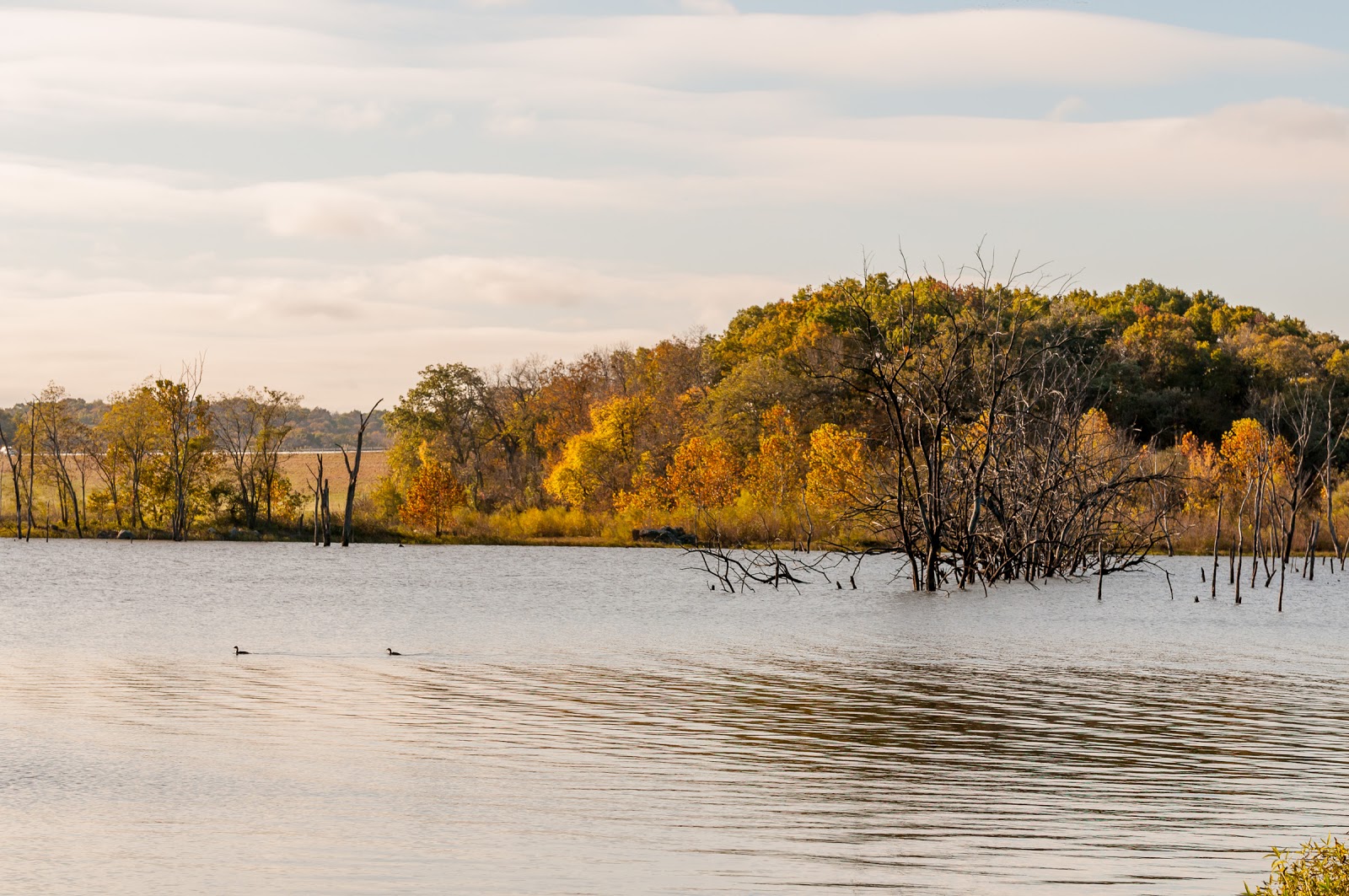 Goldenfolio Photography: Fleming Park, MO